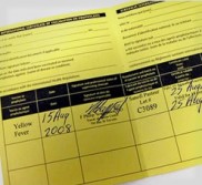 yellow - The Travel Doctor