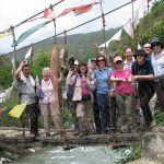 Human Botfly (Dermatobia Hominis) and Tumbu Fly (Cordylobia anthrophaga)